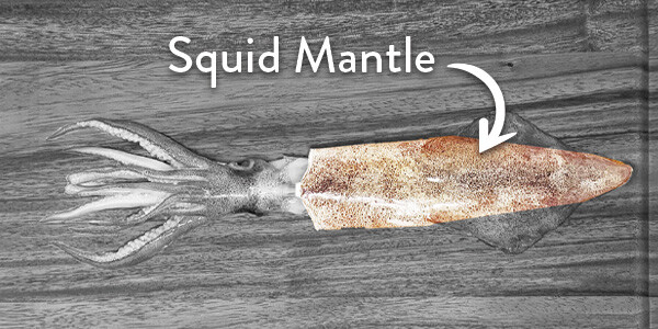 What Are Squid Rings Exactly?