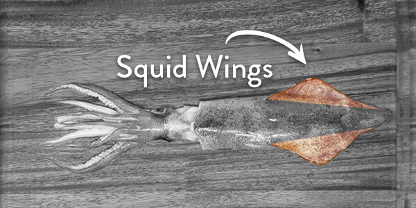 What Are Squid Rings Exactly?